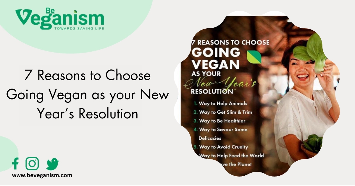 7 Reasons to Choose Going Vegan as your New Year’s Resolution